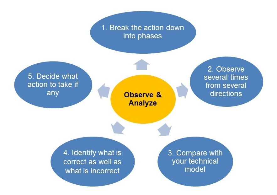 Improving Observation Skills – Coach Hansen